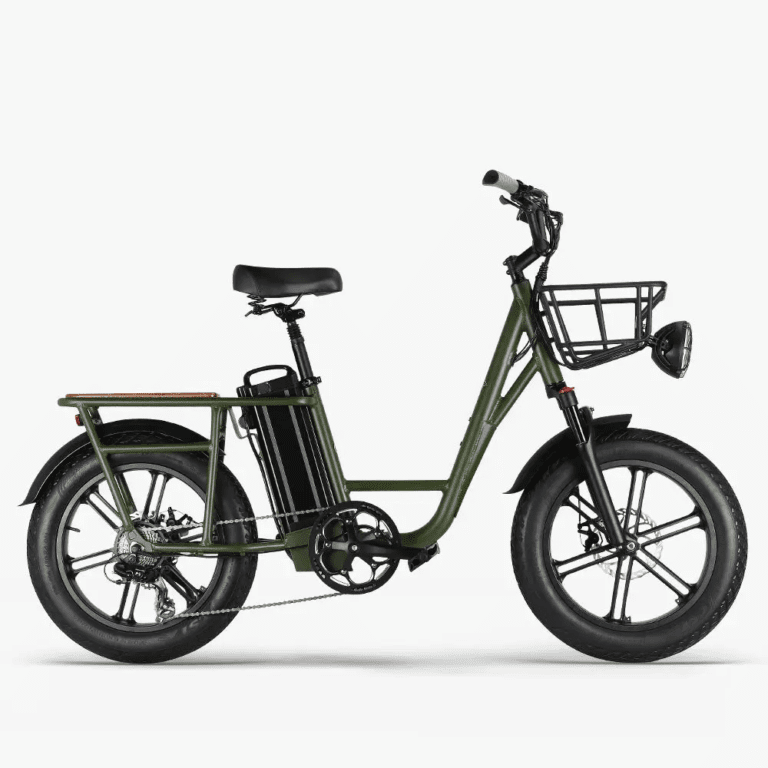 FIIDO Electric Bikes