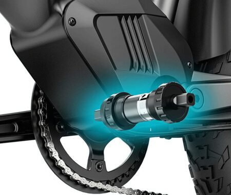 Fiido Titan M25 Cargo Standard 26" Wheel With Torque Sensor