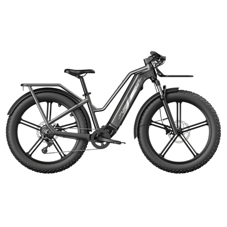 Fiido T2 Longtail Cargo E-bike