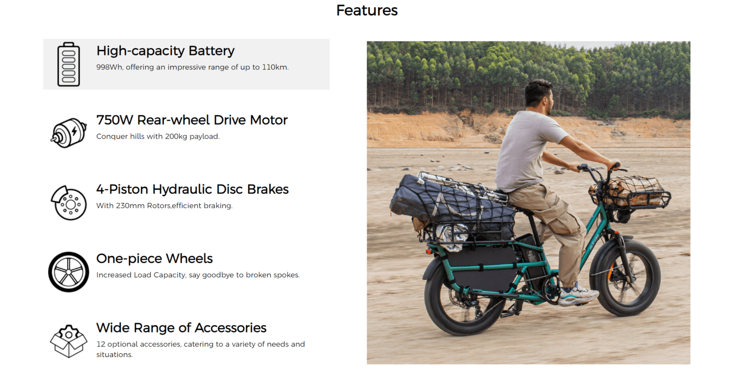 Fiido T2 Longtail Cargo E-bike